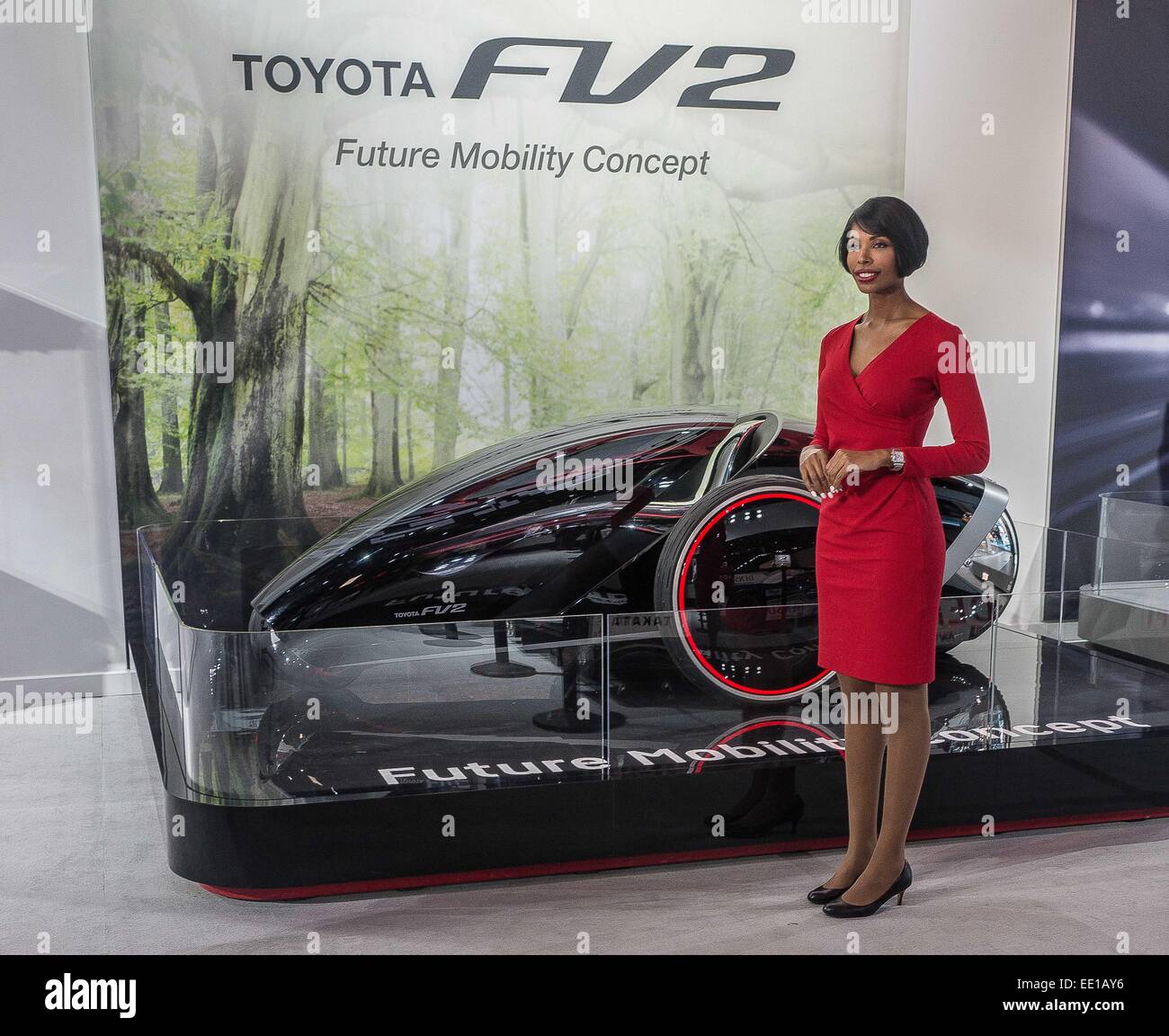 Detroit, MI, USA. 12th Jan, 2015. Models pose at the North American ...