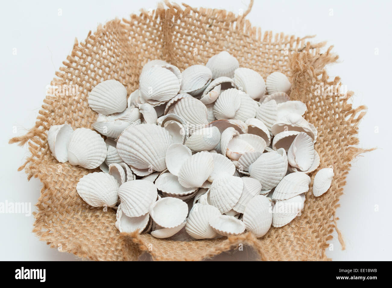 Bag of shells hi-res stock photography and images - Alamy