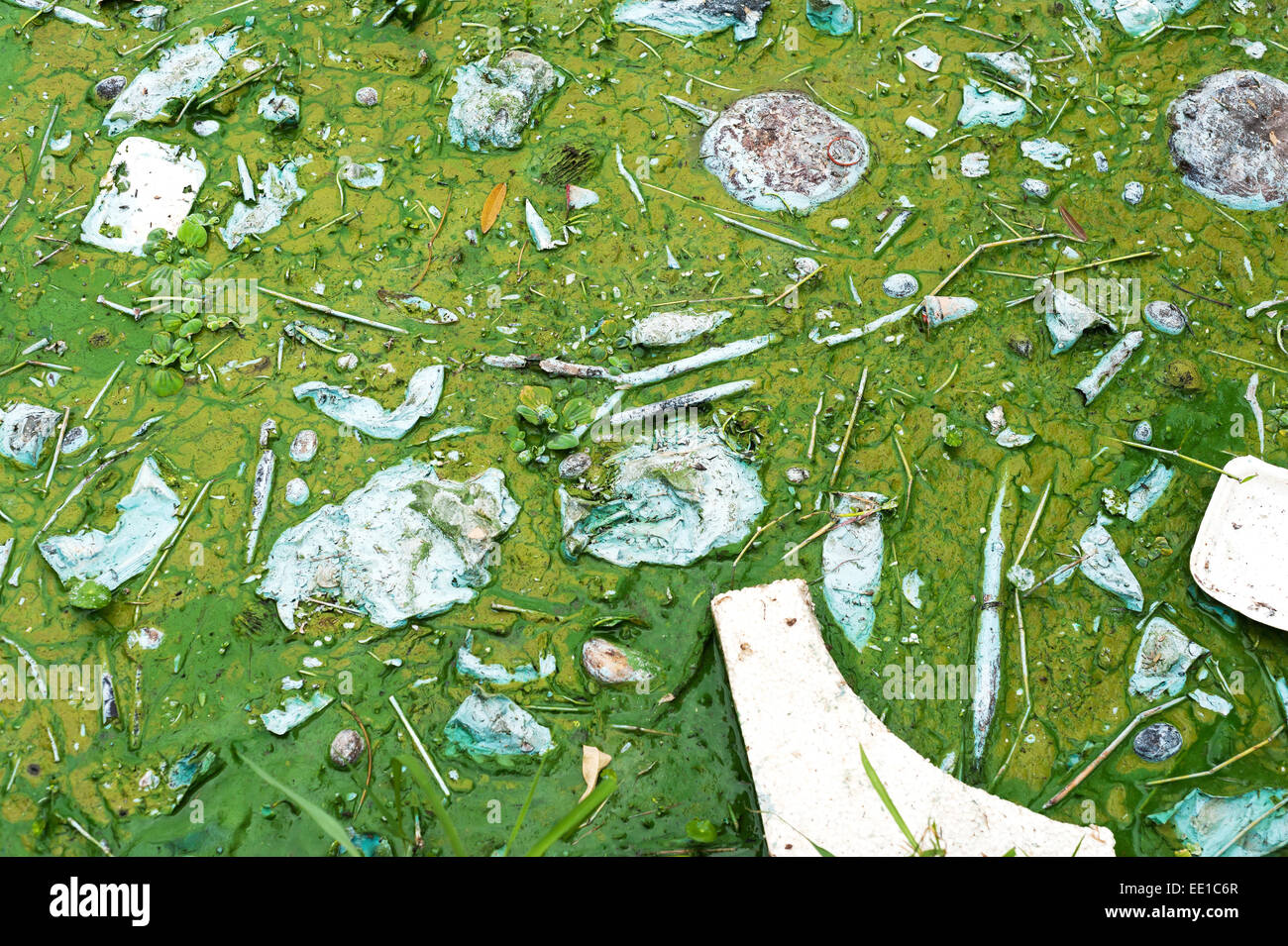 An Water pollution feeling not good Stock Photo - Alamy