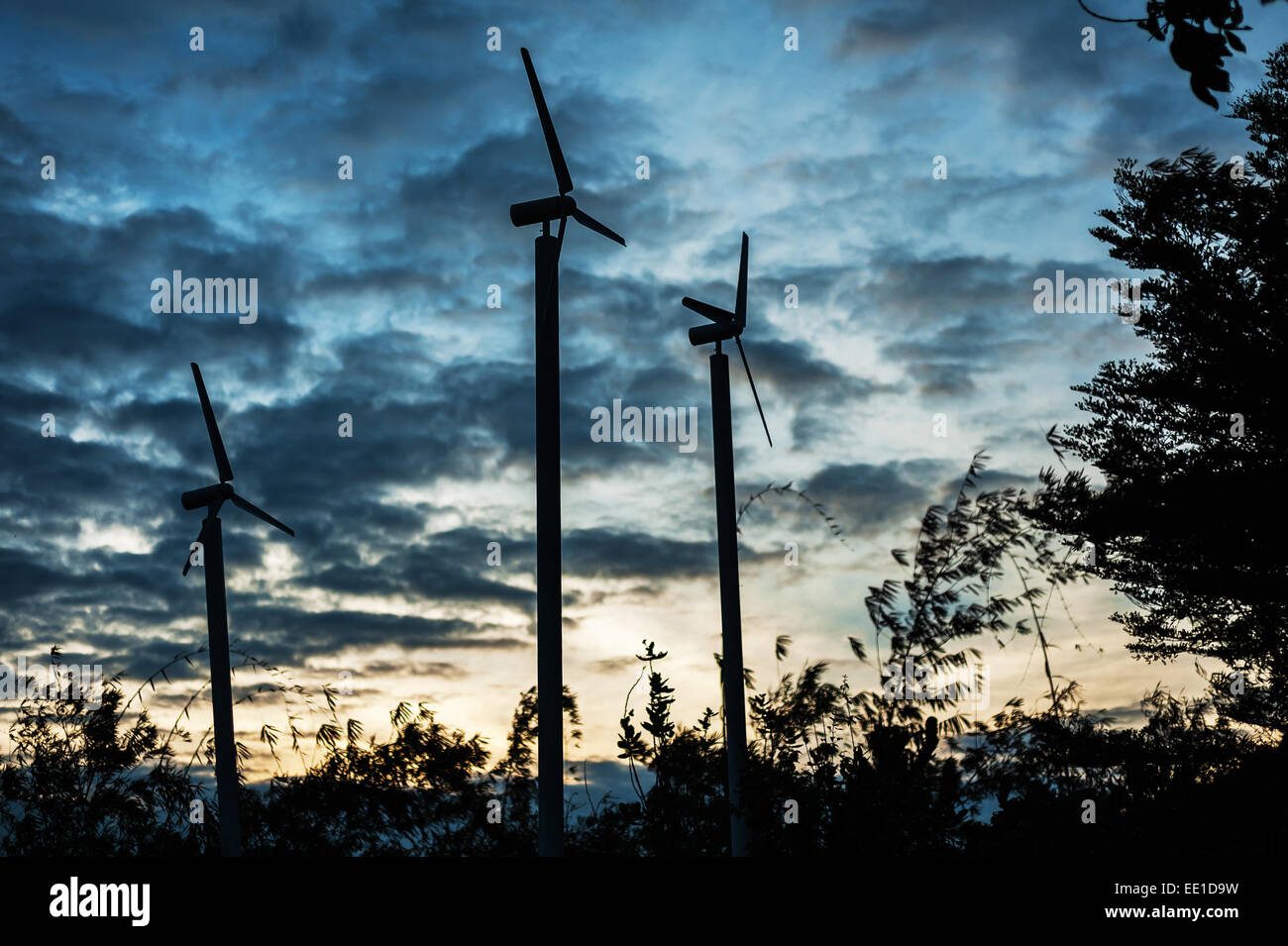 An Wind Energy in morning light Stock Photo - Alamy