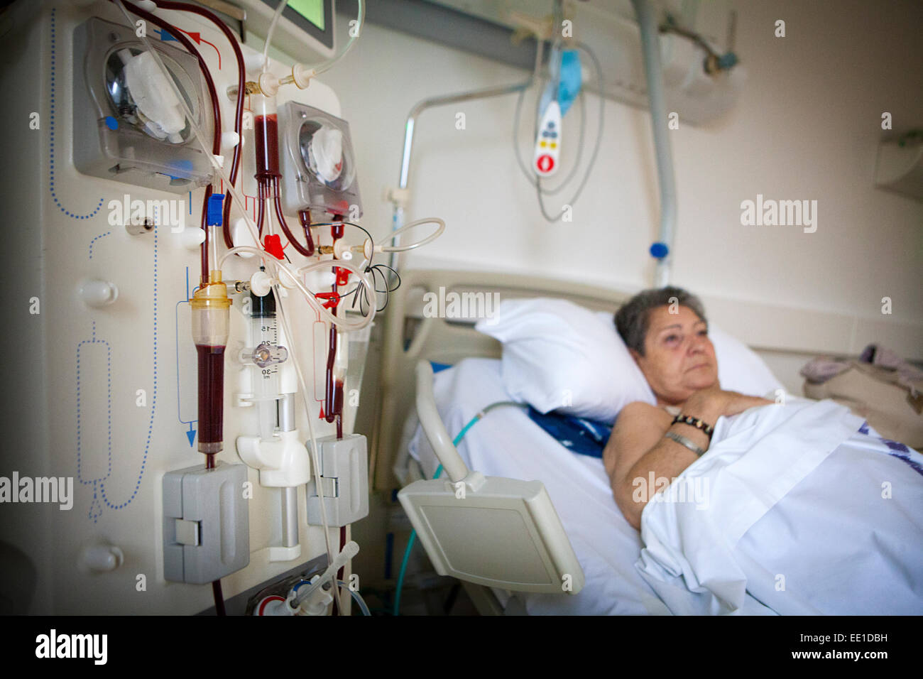 Blood circulation kidney drawing hi-res stock photography and images ...