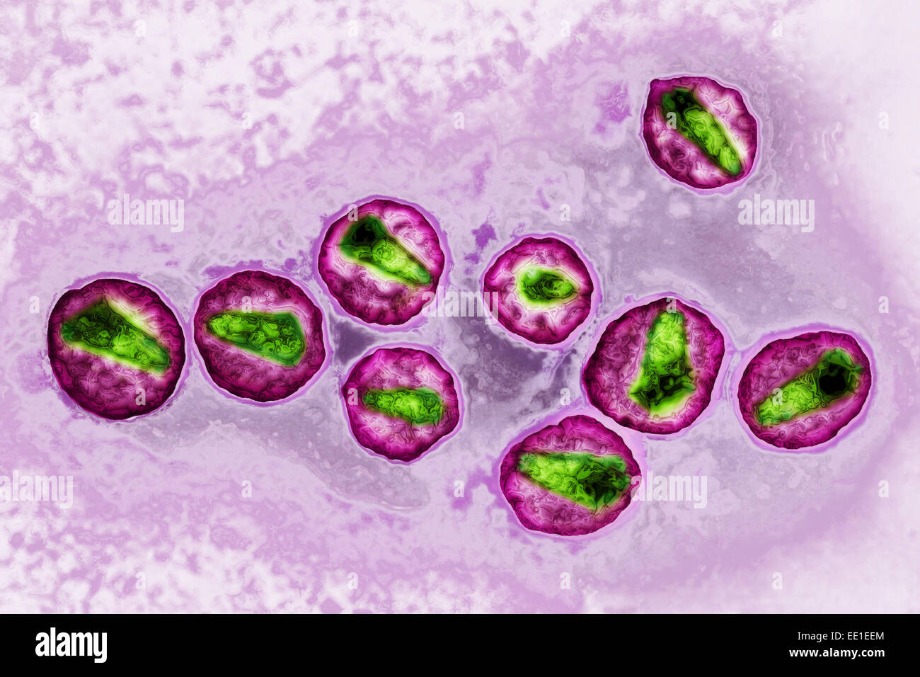 Hiv aids microscope hi-res stock photography and images - Alamy