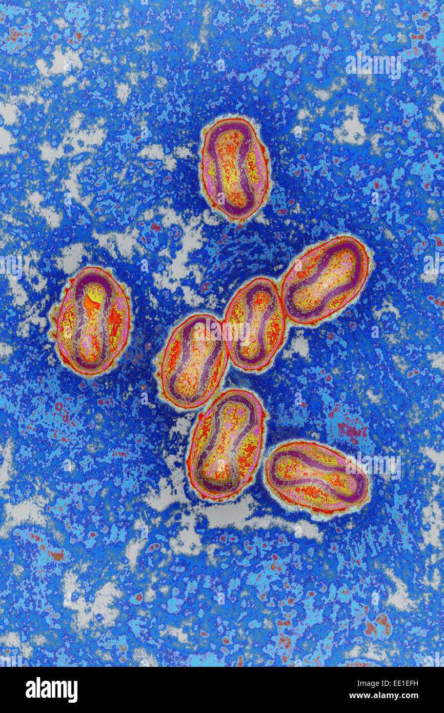 Virus pox hi-res stock photography and images - Alamy