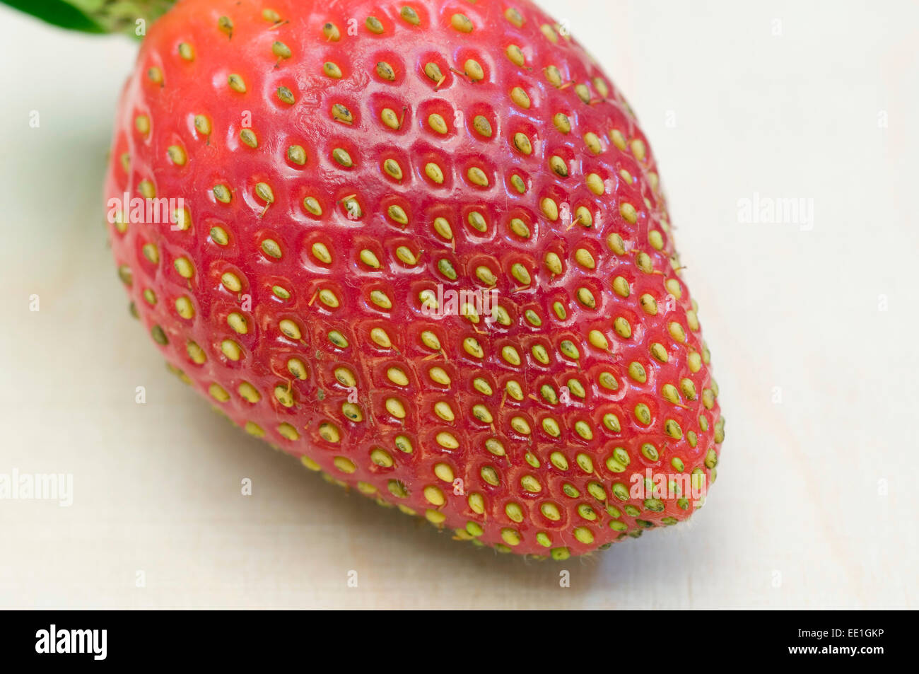 Strawberry close up Stock Photo - Alamy