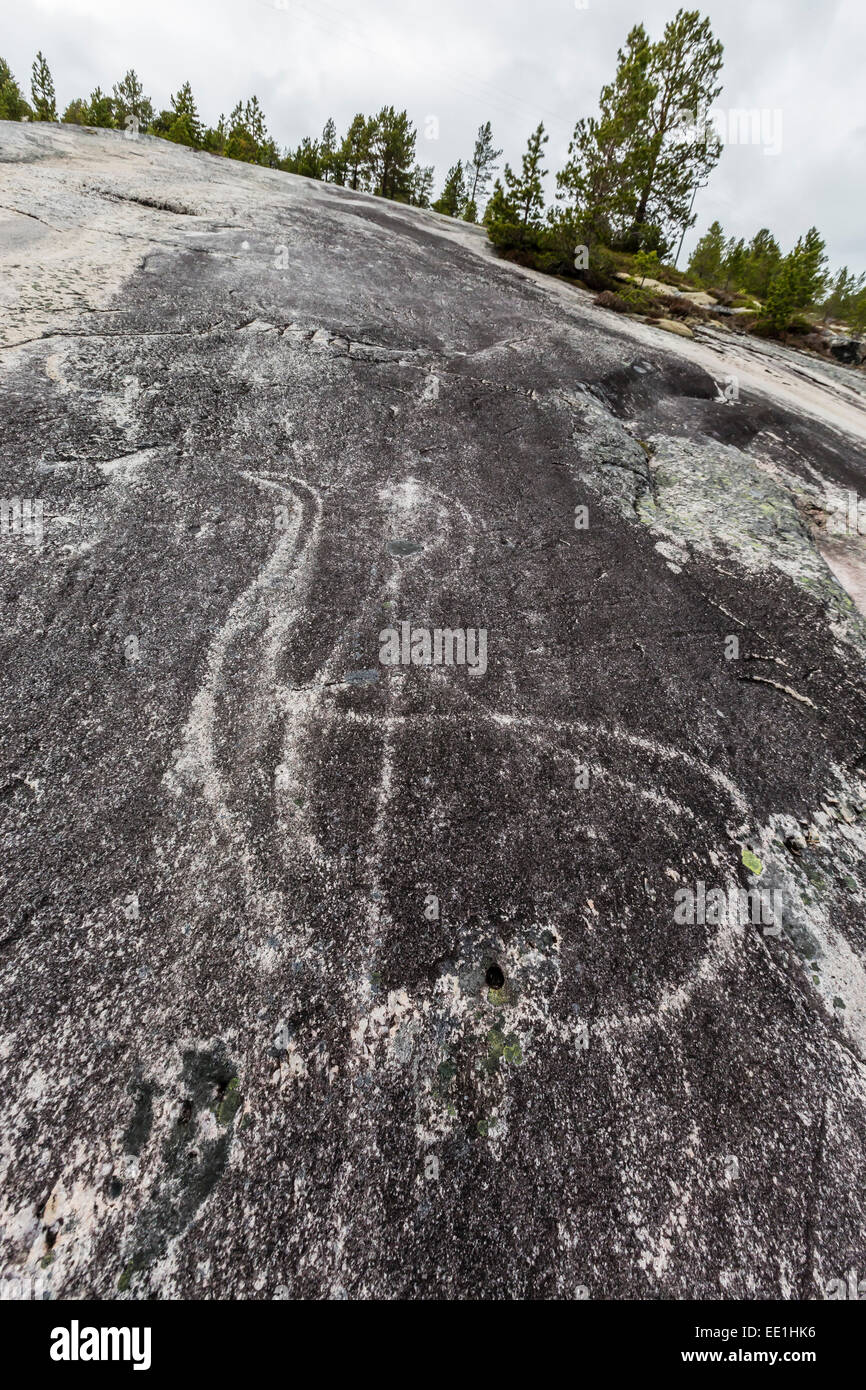 Leiknes Rock Paintings depicting two swans, drawn by the ancestors of ...