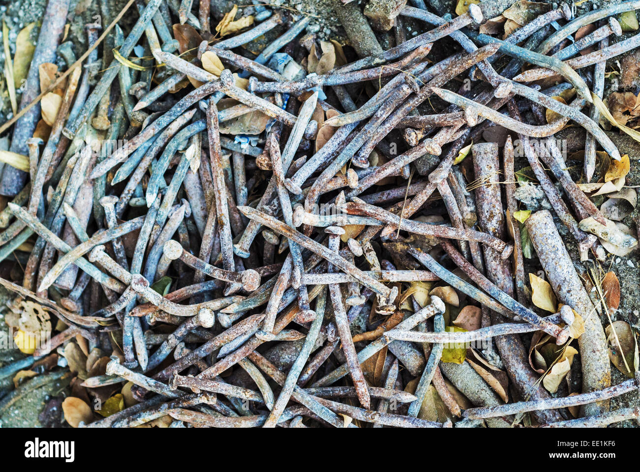 An Rusty Nails, Staples, Screws Stock Photo - Alamy