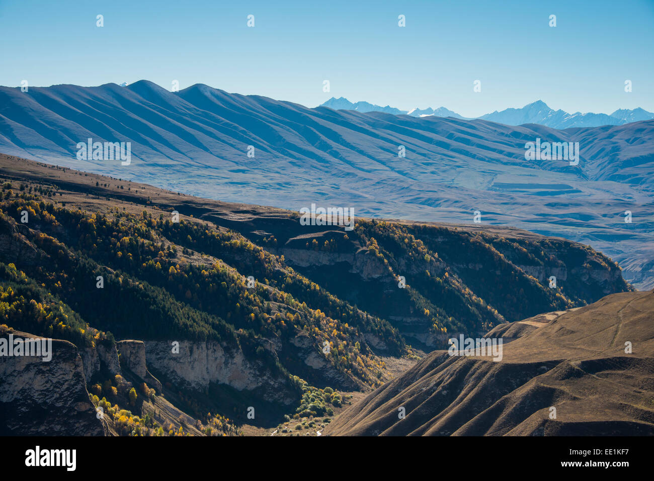 Chechen hi-res stock photography and images - Alamy