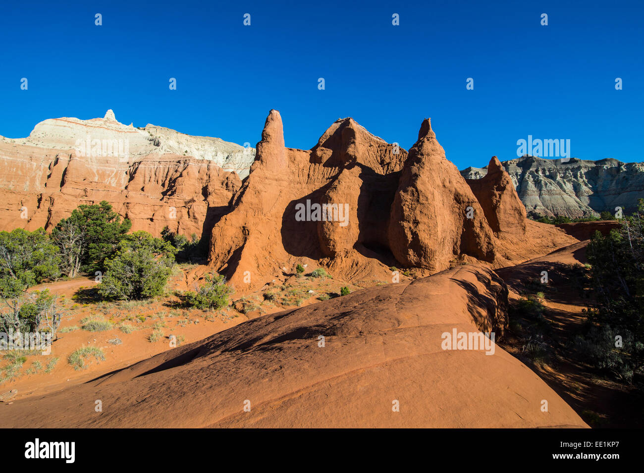 Redrock sandstone formations in the Kodachrome Basin State Park, Utah ...