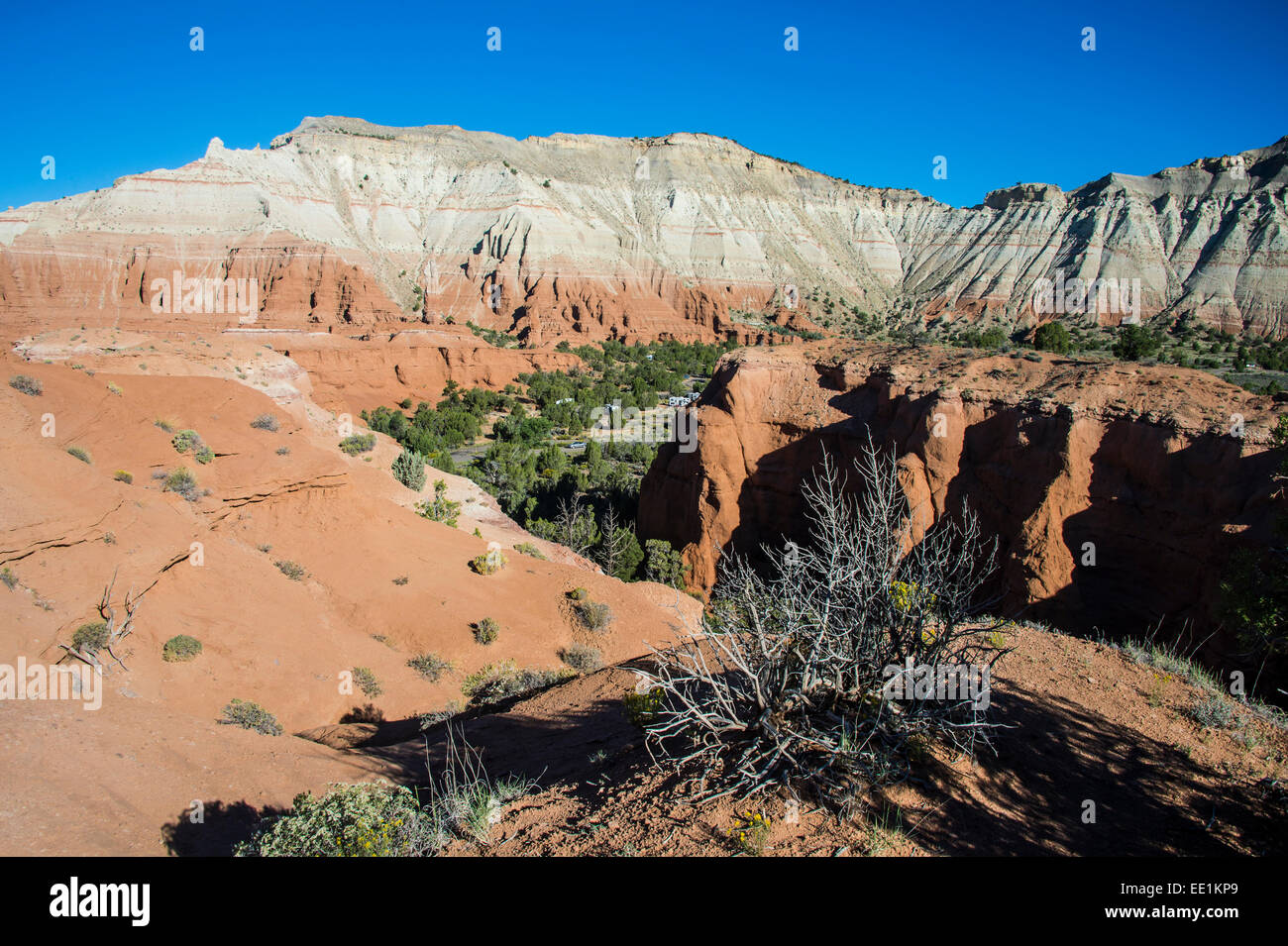 Redrock sandstone formations in the Kodachrome Basin State Park, Utah ...