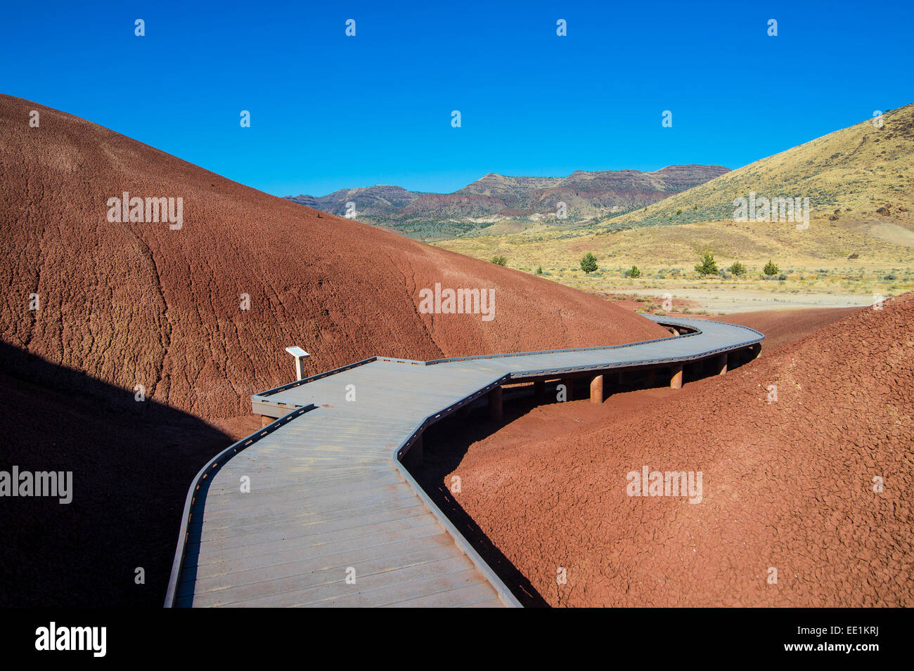 Multicoloured strata hill in the Painted Hills unit in the John Day ...