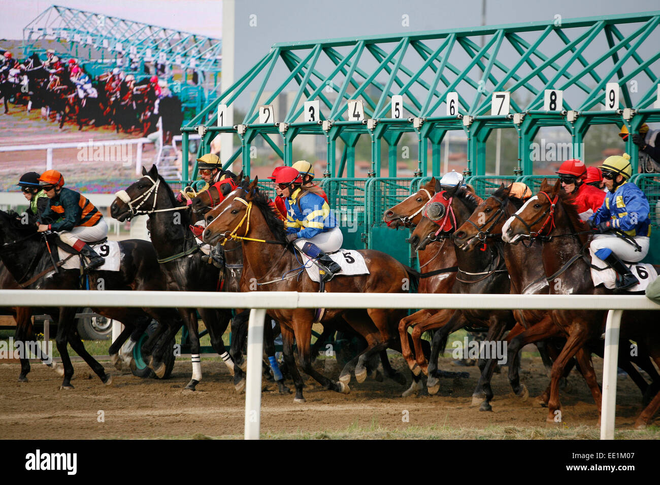Horse racing races fence jockey hi-res stock photography and images - Alamy