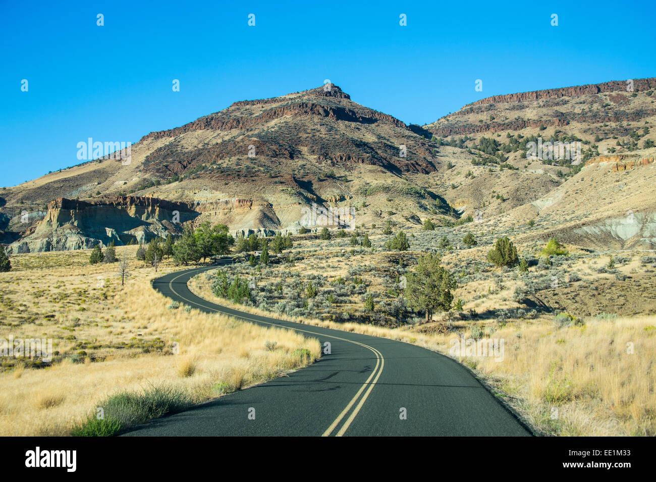 Road leading through the Sheep Rock unit in the John Day Fossil Beds ...