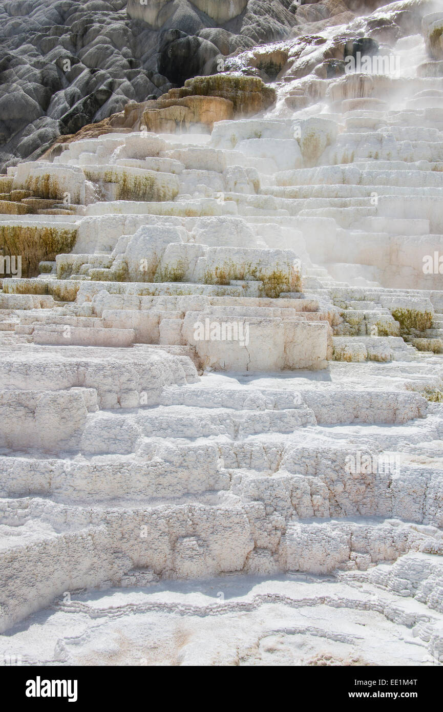 Travertine in yellowstone hi-res stock photography and images - Alamy