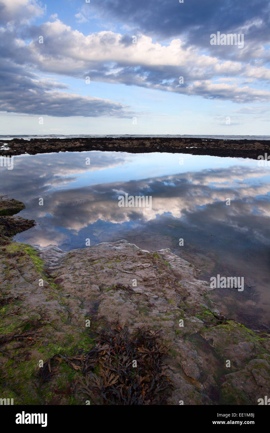 Rock Pools on the Beach at Robin Hoods Bay, Yorkshire, England, United ...