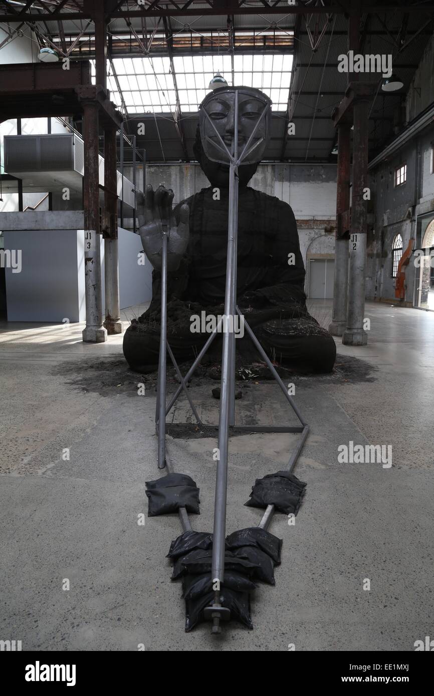 Sydney ash hi-res stock photography and images - Alamy