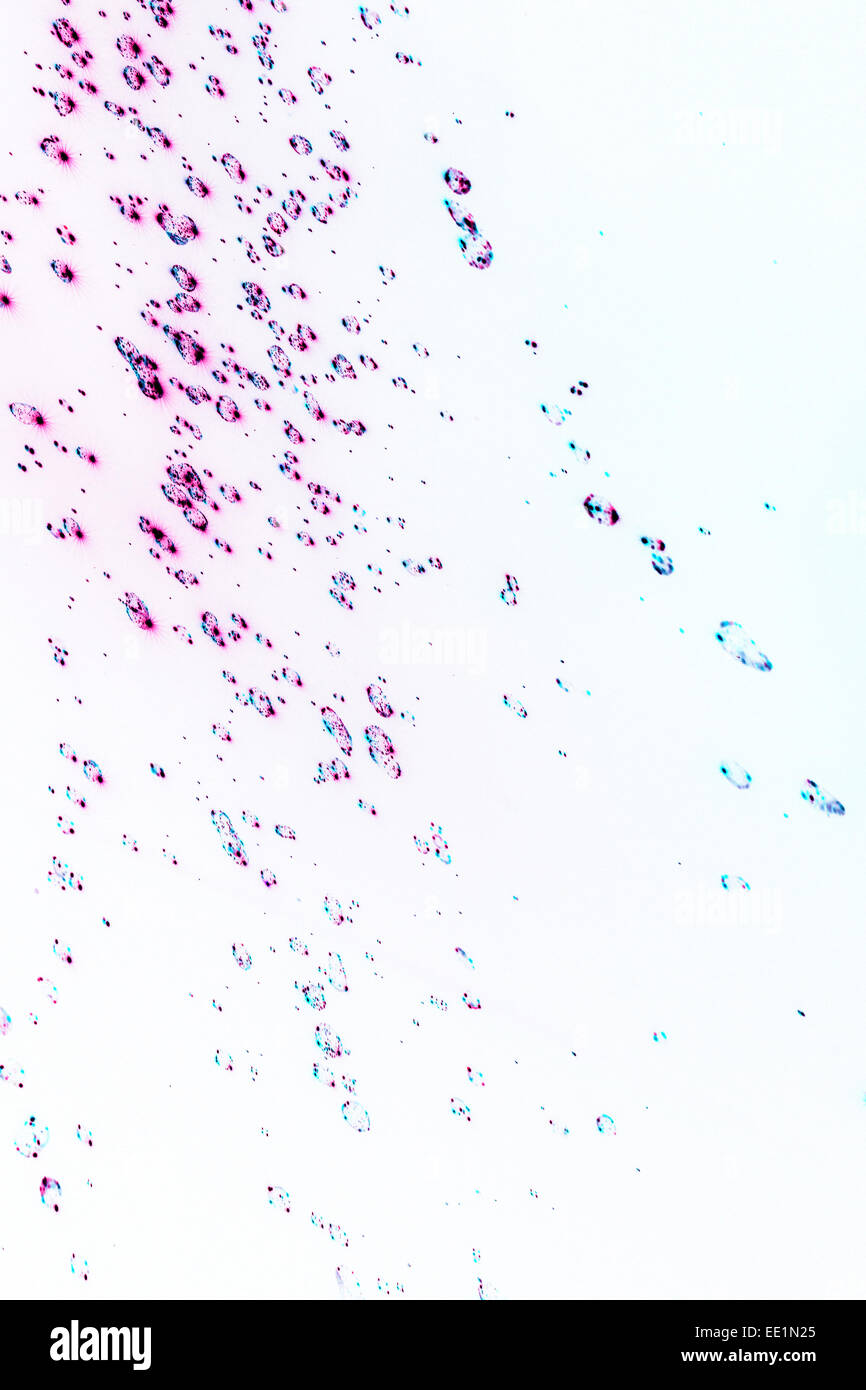 Abstract paint splatter Stock Photo - Alamy