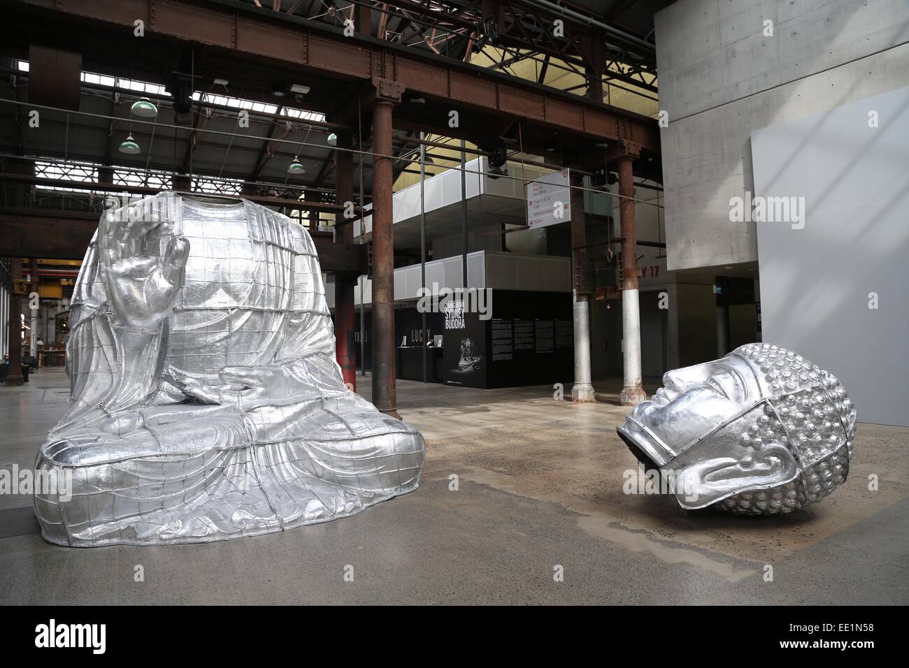 Sydney ash hi-res stock photography and images - Alamy