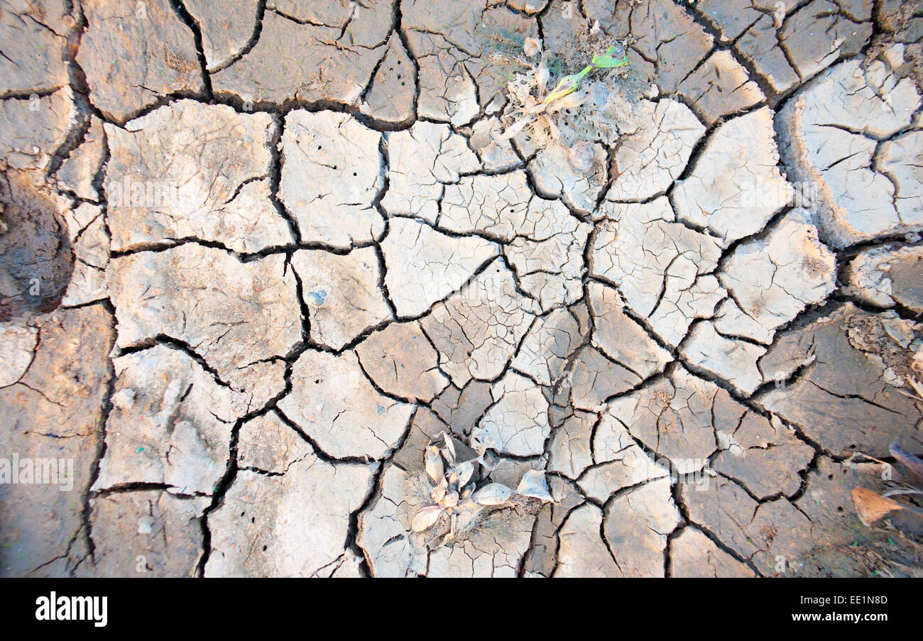 Dry land. Cracked ground background and texture Stock Photo - Alamy