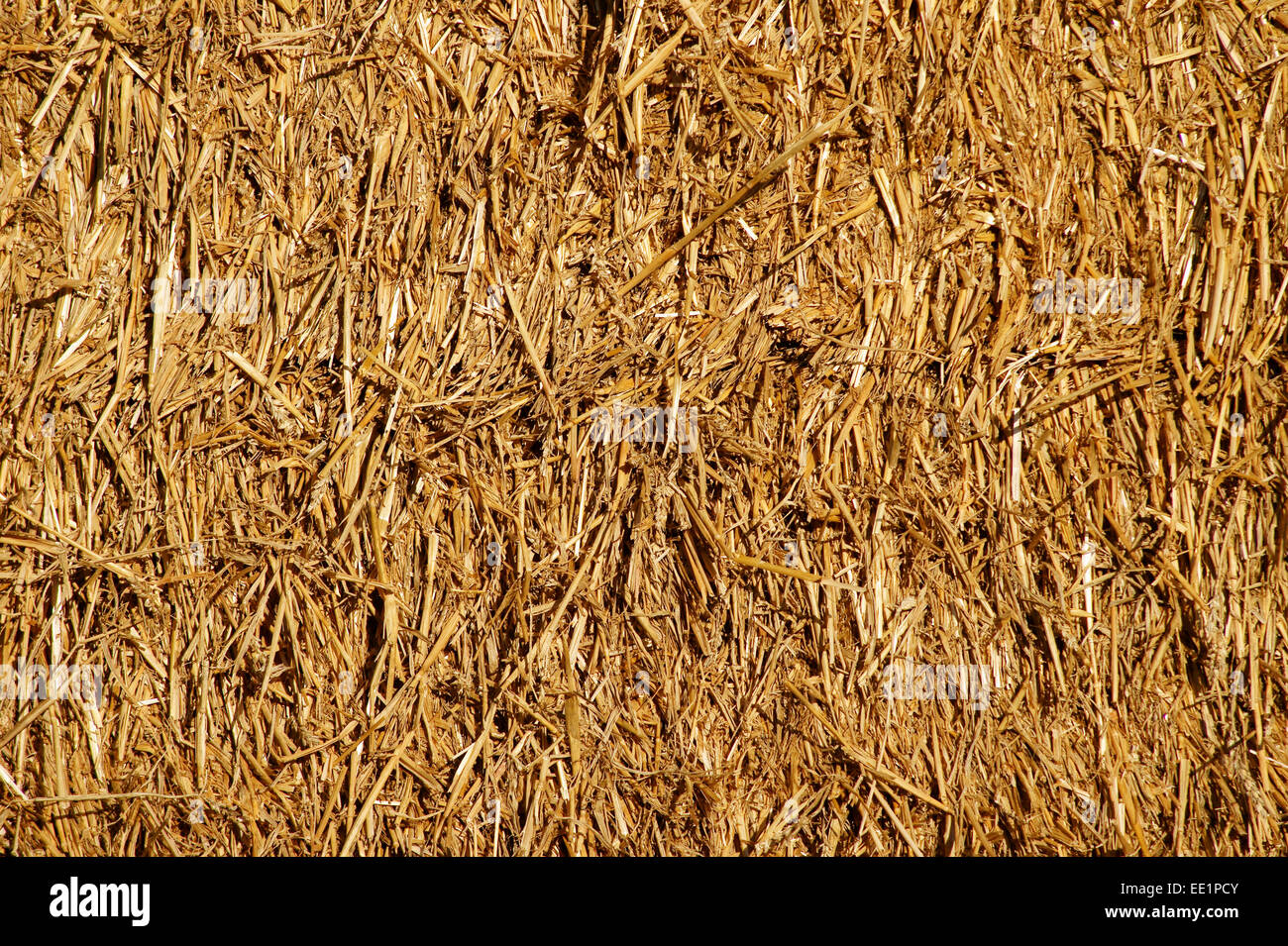 Pressed straw hi-res stock photography and images - Alamy