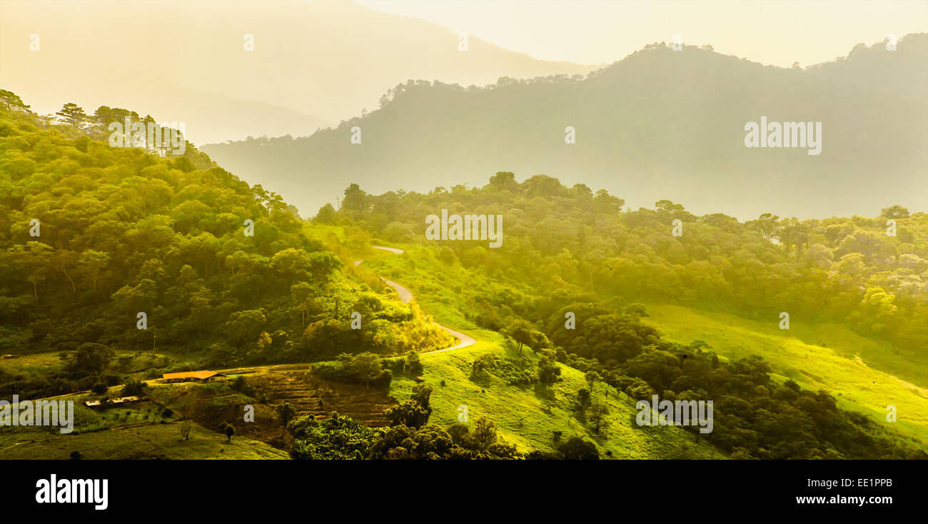 Chiang rai thailand mountain fog hi-res stock photography and images ...