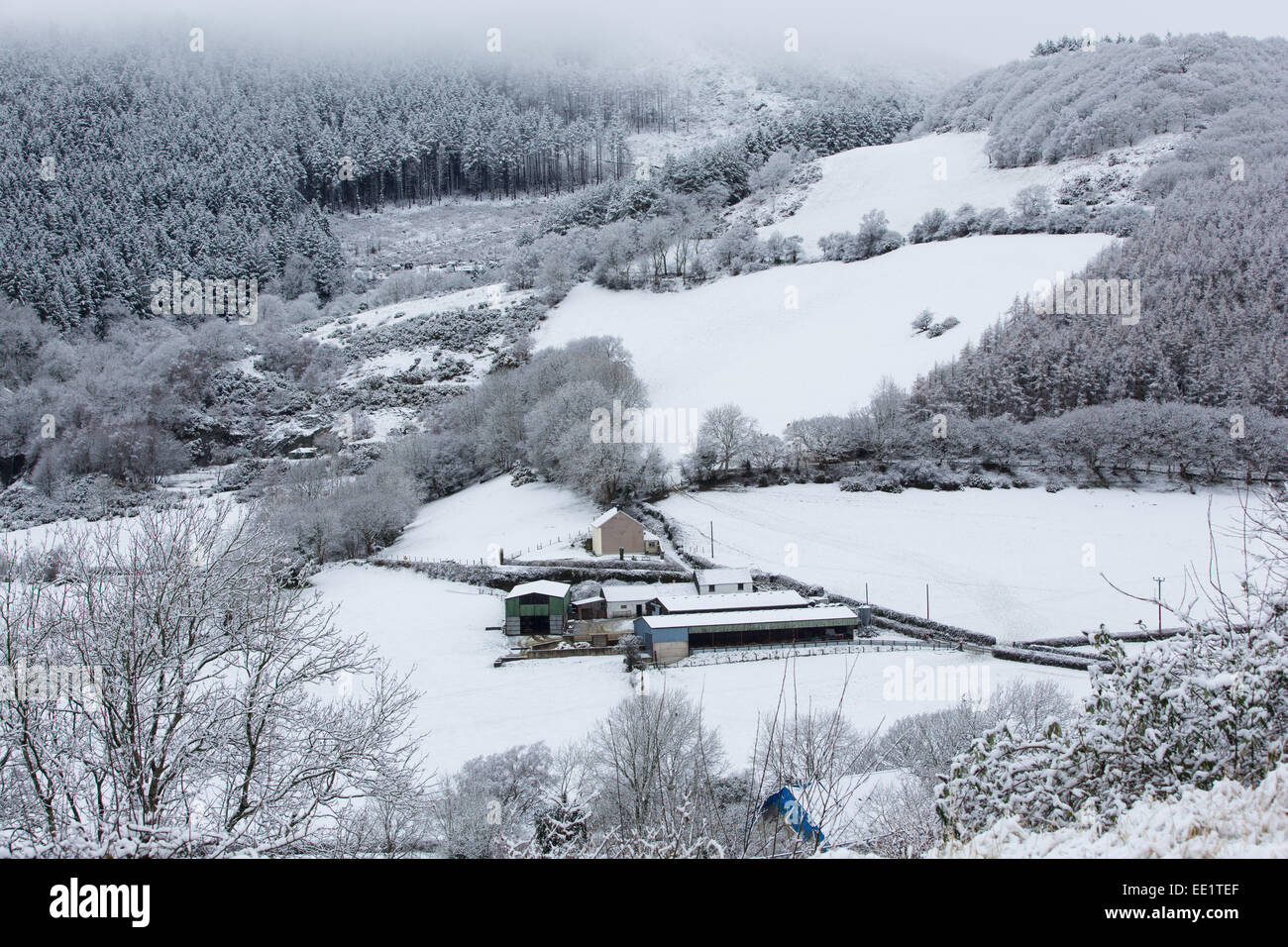 Goginan, Ceredigion, Wales, UK. 13th January, 2015. UK Weather ...