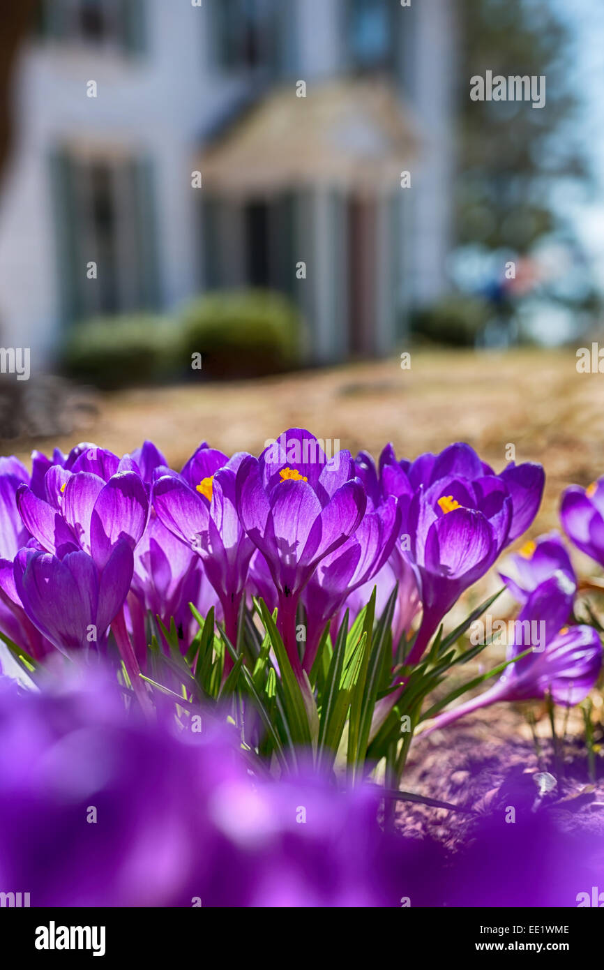 Spring gardening hi-res stock photography and images - Alamy