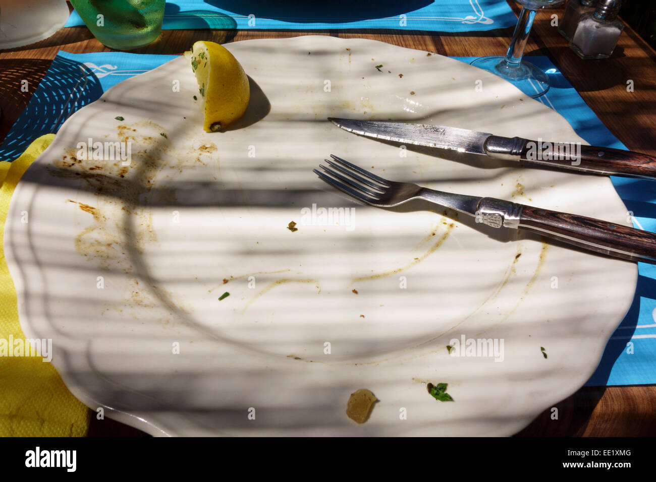Totally empty plate (the same plate with food is also available. Please ...