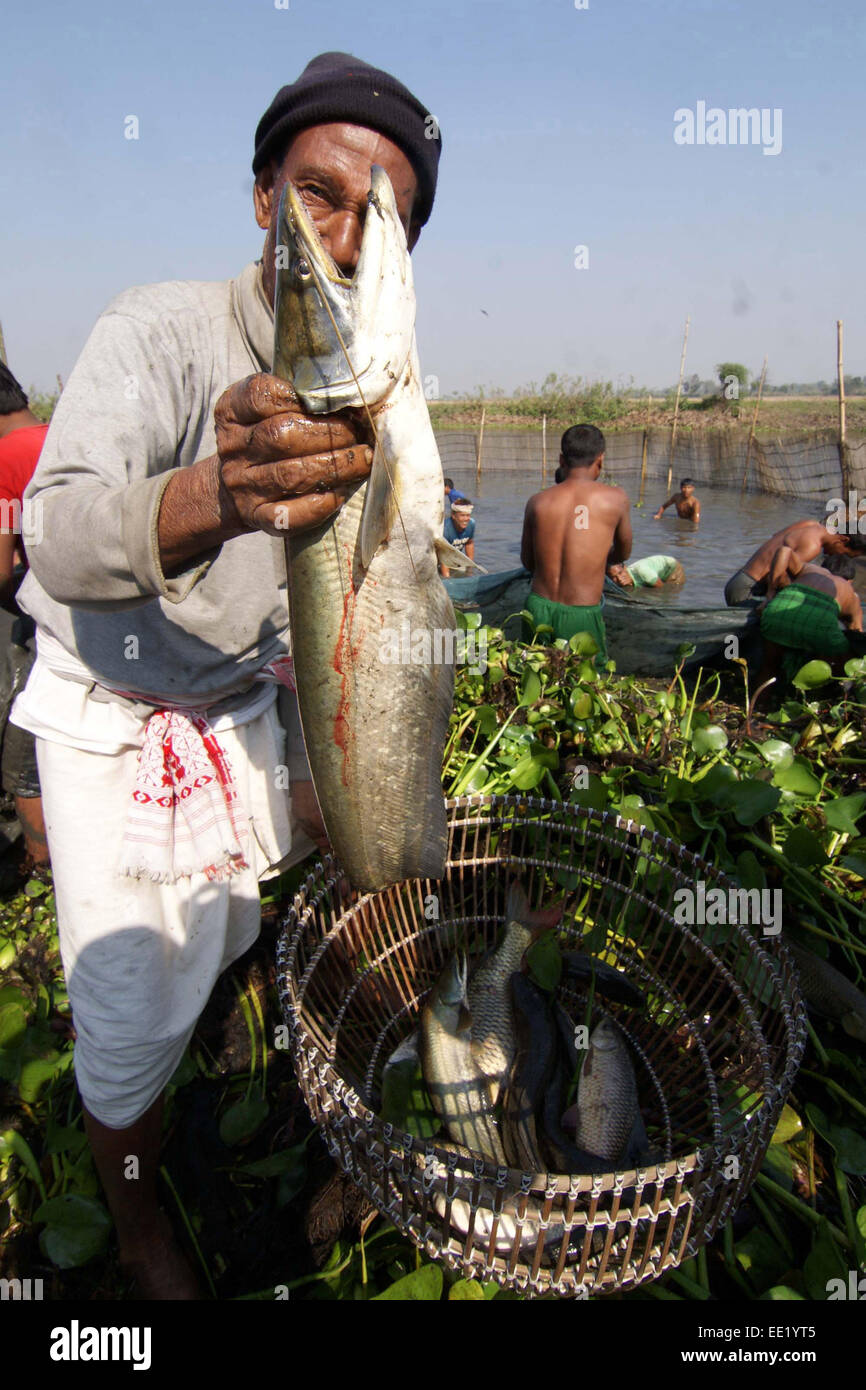 Jan. 13, 2015 - Nagaon, Assam, India - An Indian Villager displays his ...