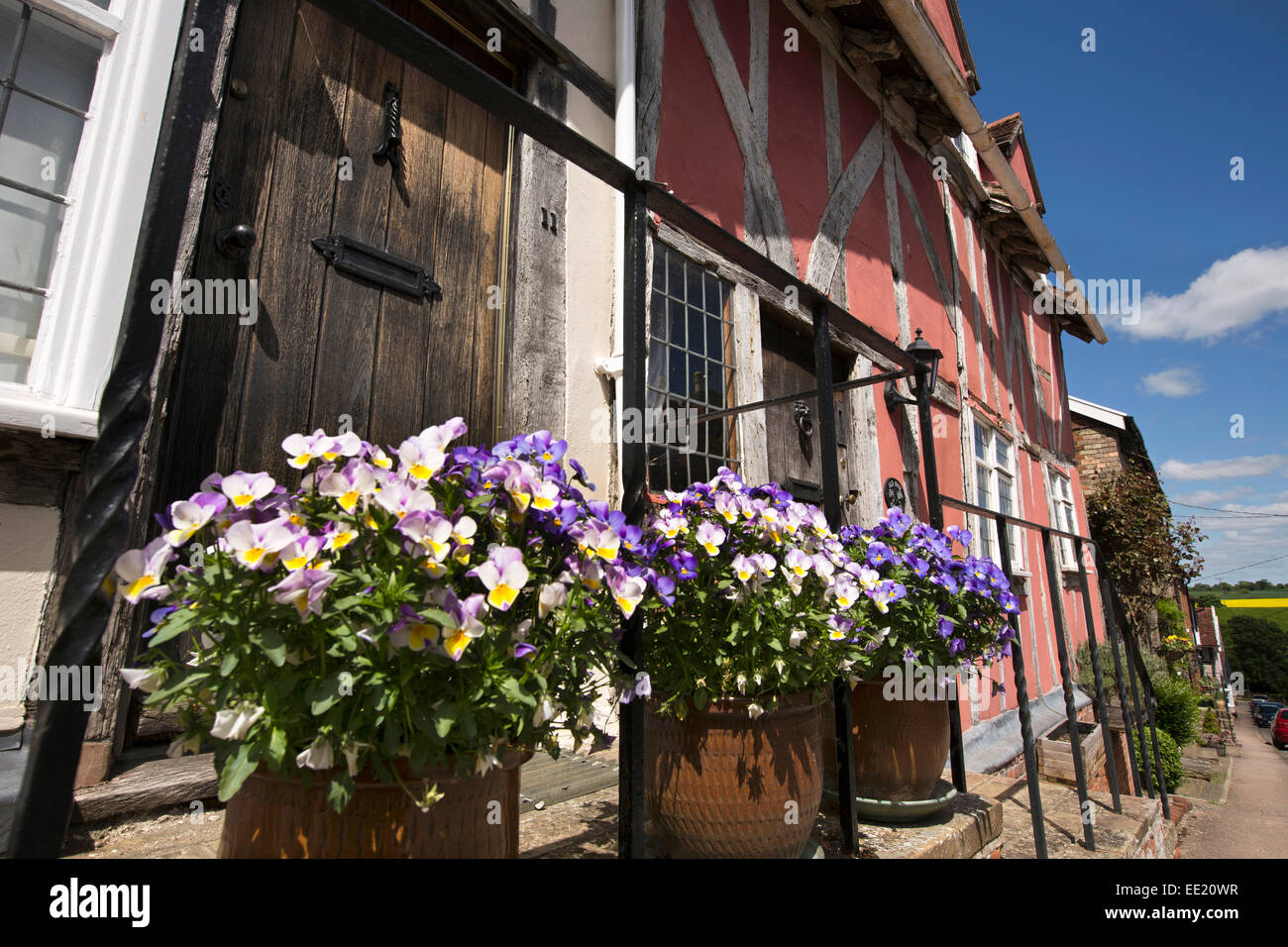 UK England, Suffolk, Lavenham, Prentice Street, planter of pansies on ...