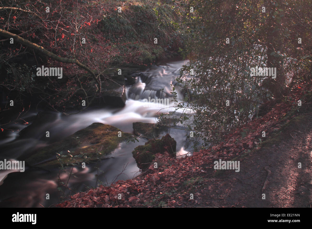 Rivelin valley hi-res stock photography and images - Alamy
