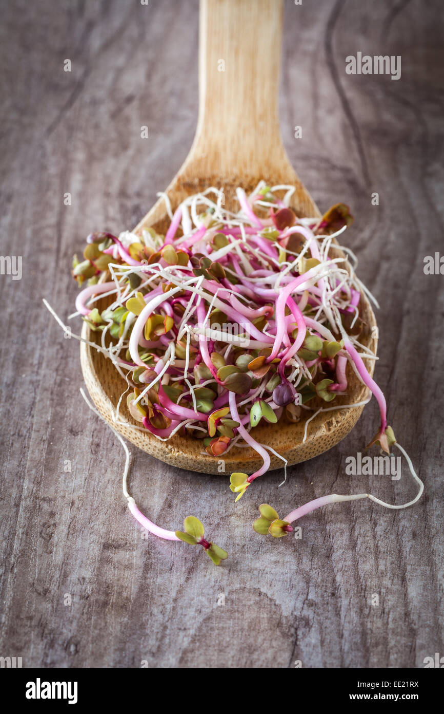 Fresh raw soy germs on a wooden background Stock Photo - Alamy