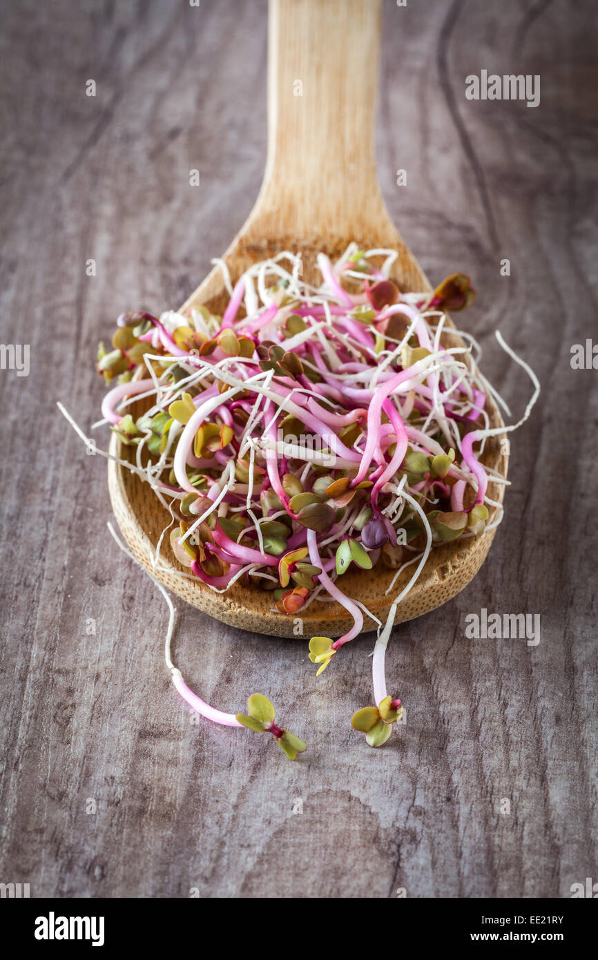 Fresh raw soy germs on a wooden background Stock Photo - Alamy
