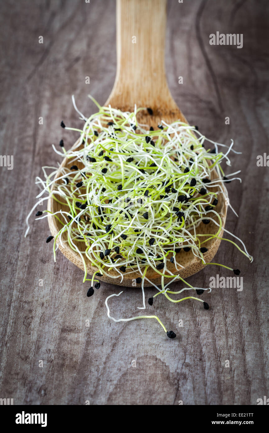 Bunch of fresh onion germ sprouts on a wooden background Stock Photo ...