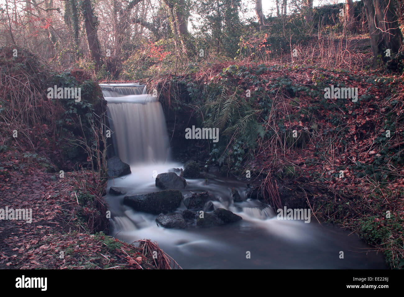 Rivelin Valley Waterfall High Resolution Stock Photography and Images ...