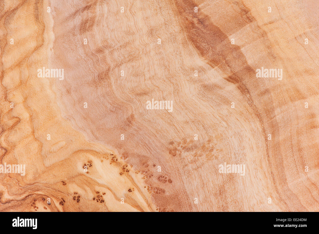 Olive wood abstract texture Stock Photo - Alamy