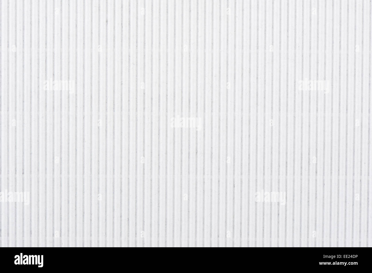 Plain white backgrounds hi-res stock photography and images - Alamy