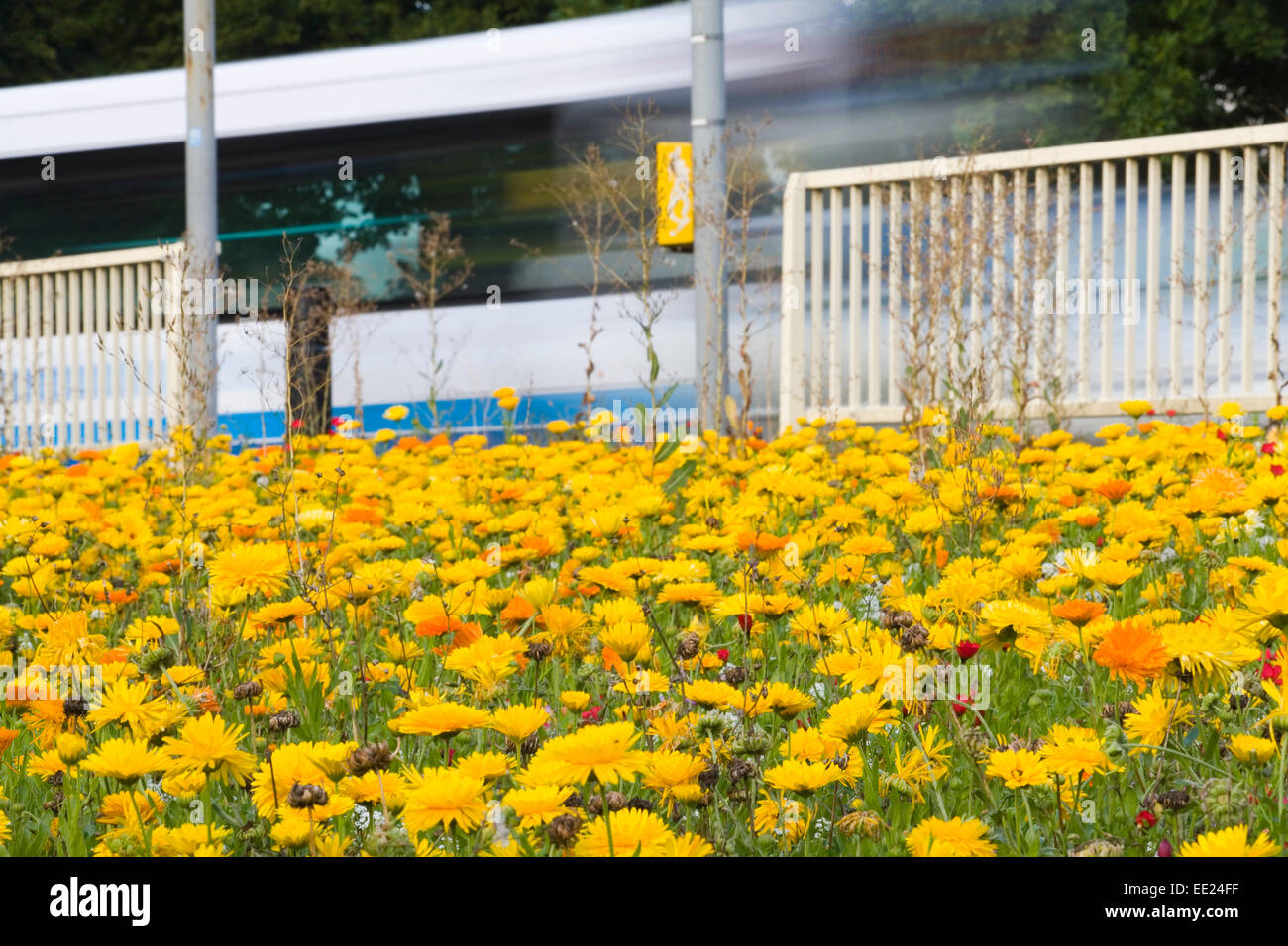 M32 hi-res stock photography and images - Alamy