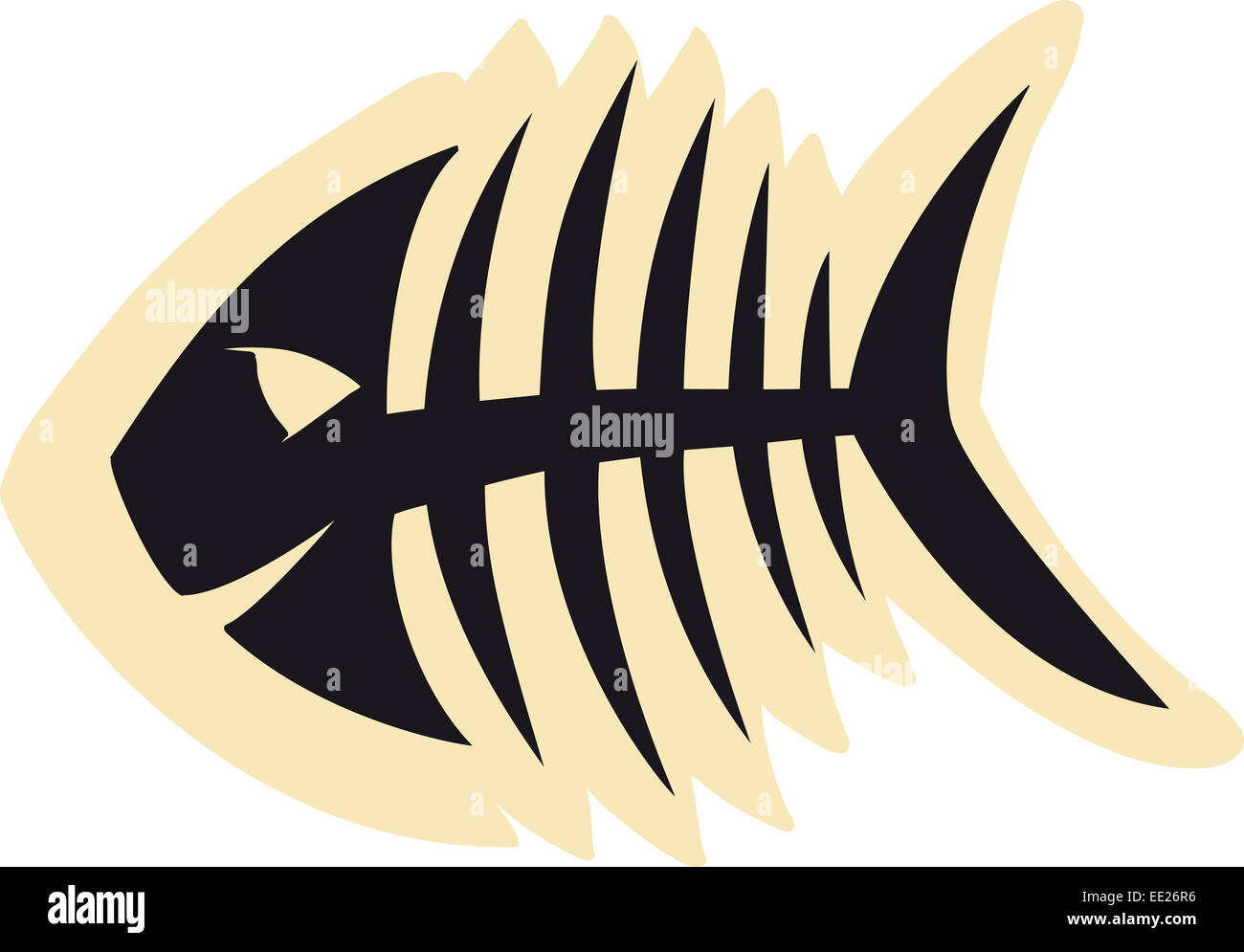 Cartoon fish skeleton hi-res stock photography and images - Alamy
