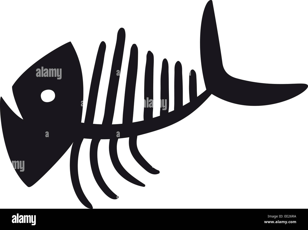 Curve Fish Skeleton Stock Photo - Alamy