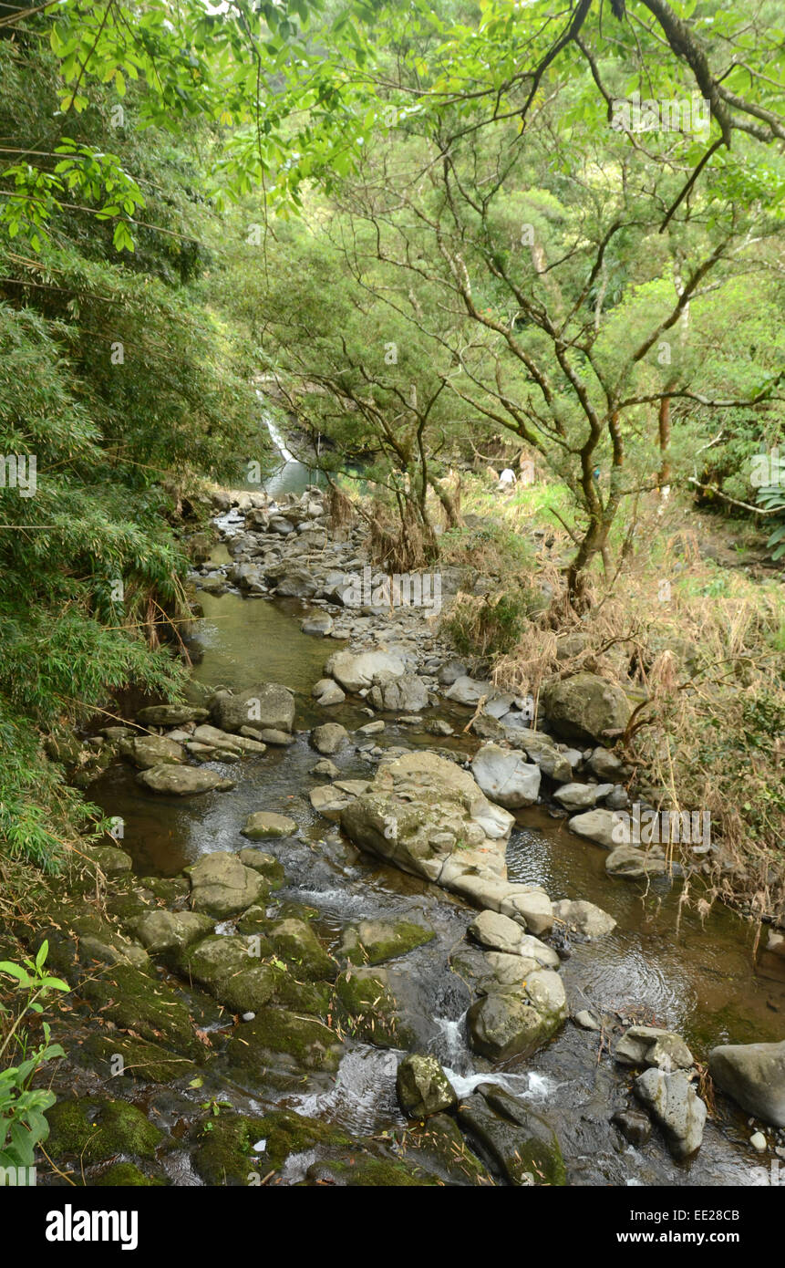 Spring Water Maui High Resolution Stock Photography and Images - Alamy