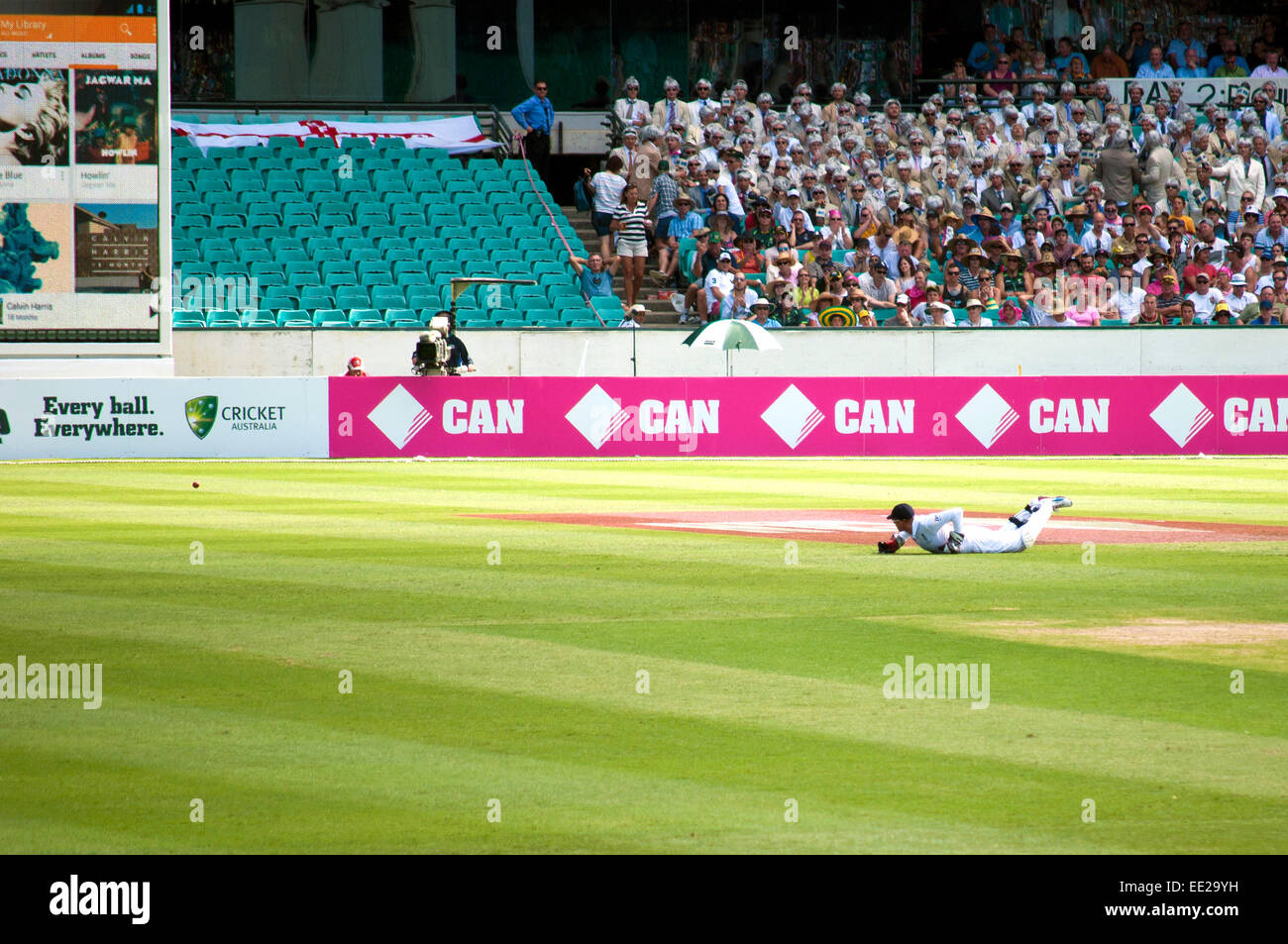 English keeper hi-res stock photography and images - Alamy