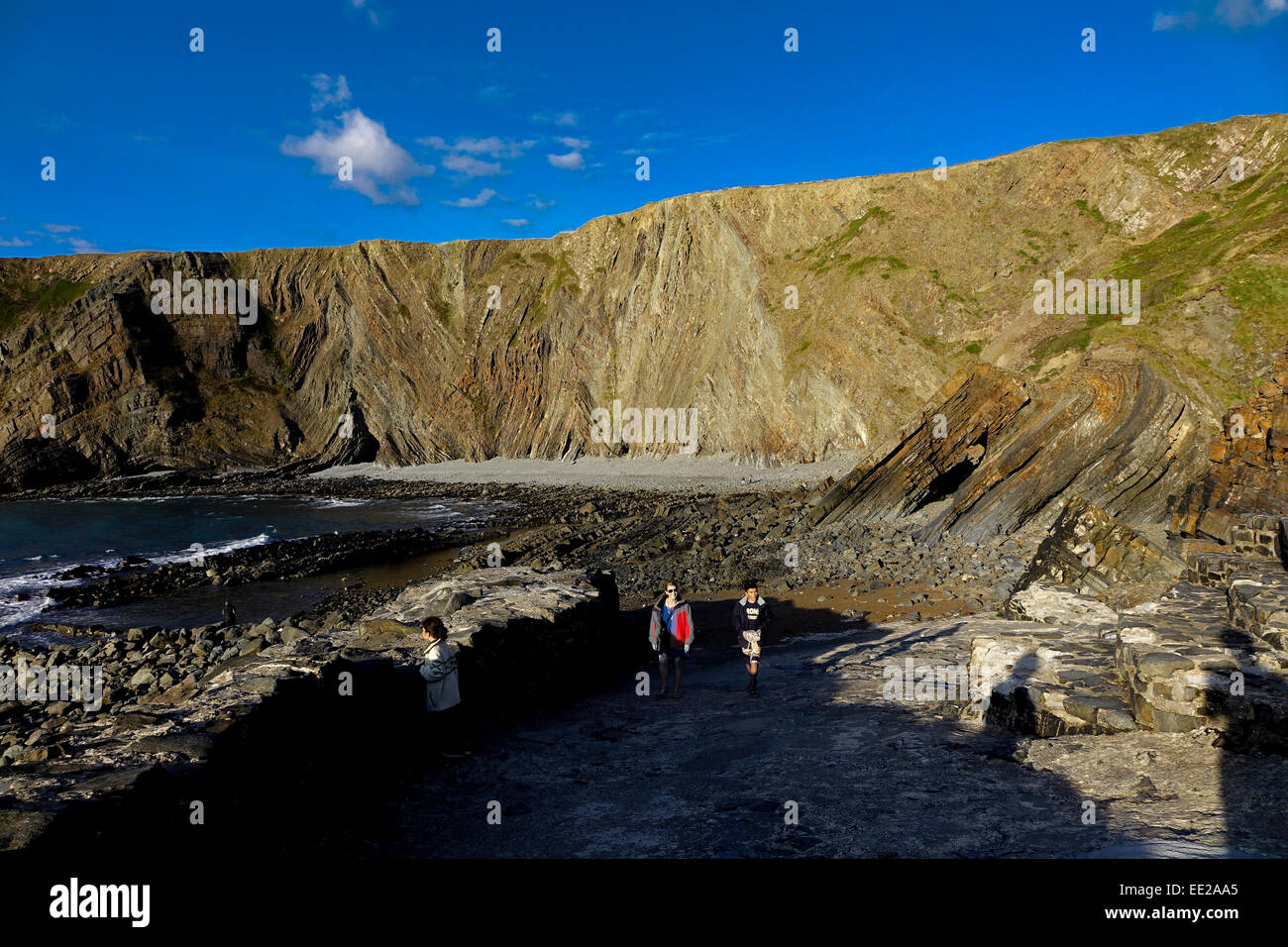 "Hartland Quay" Devon England UK "united Kingdom" rock formations Stock ...