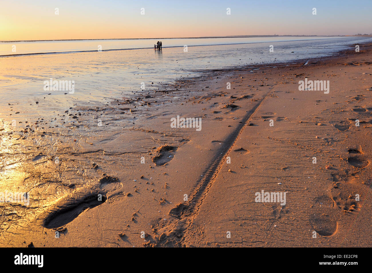 large beach at low tide in the light of sunset Stock Photo - Alamy