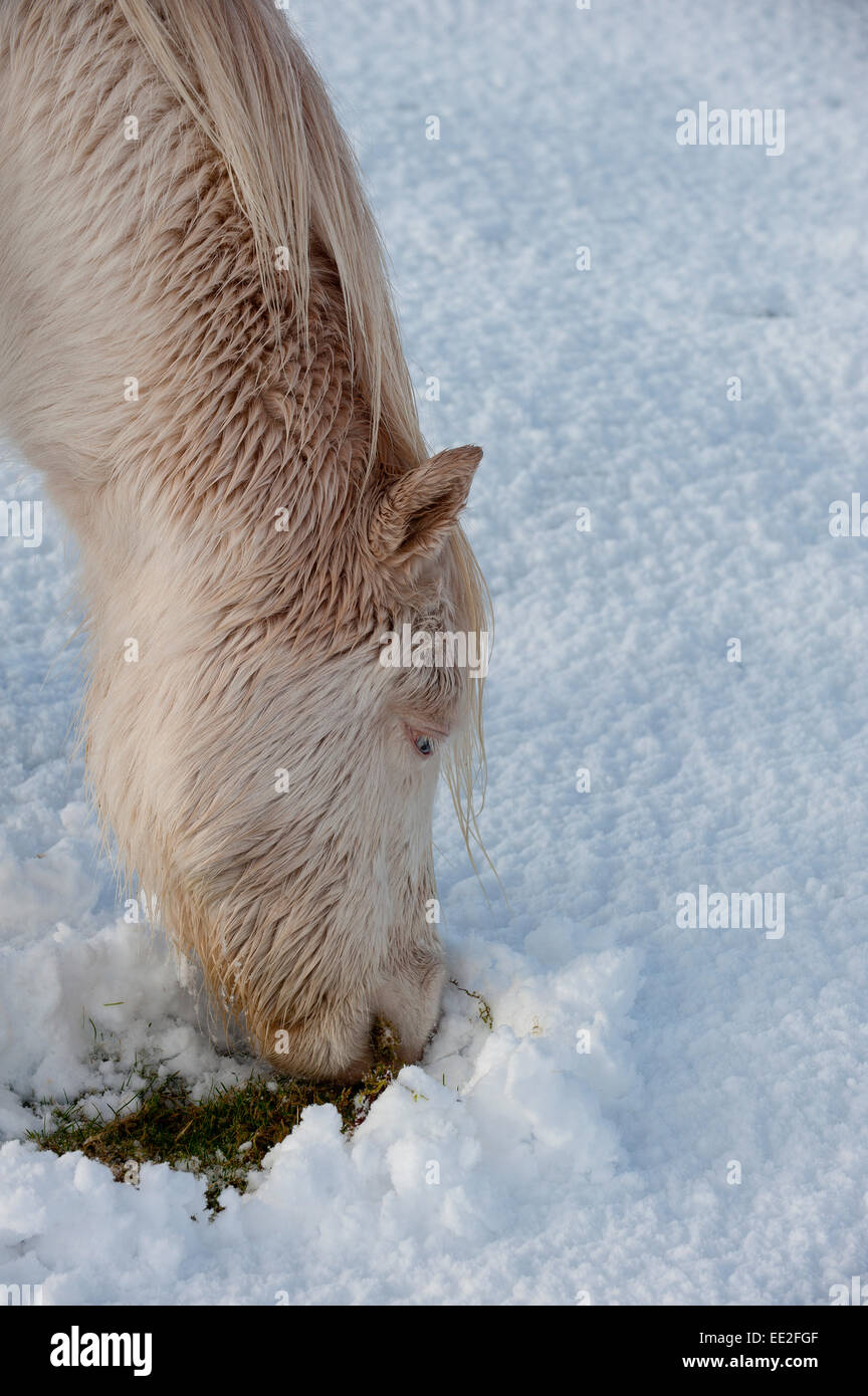 Mynydd Epynt Range of hills, Powys, Wales, UK. 13th January, 2015. A ...