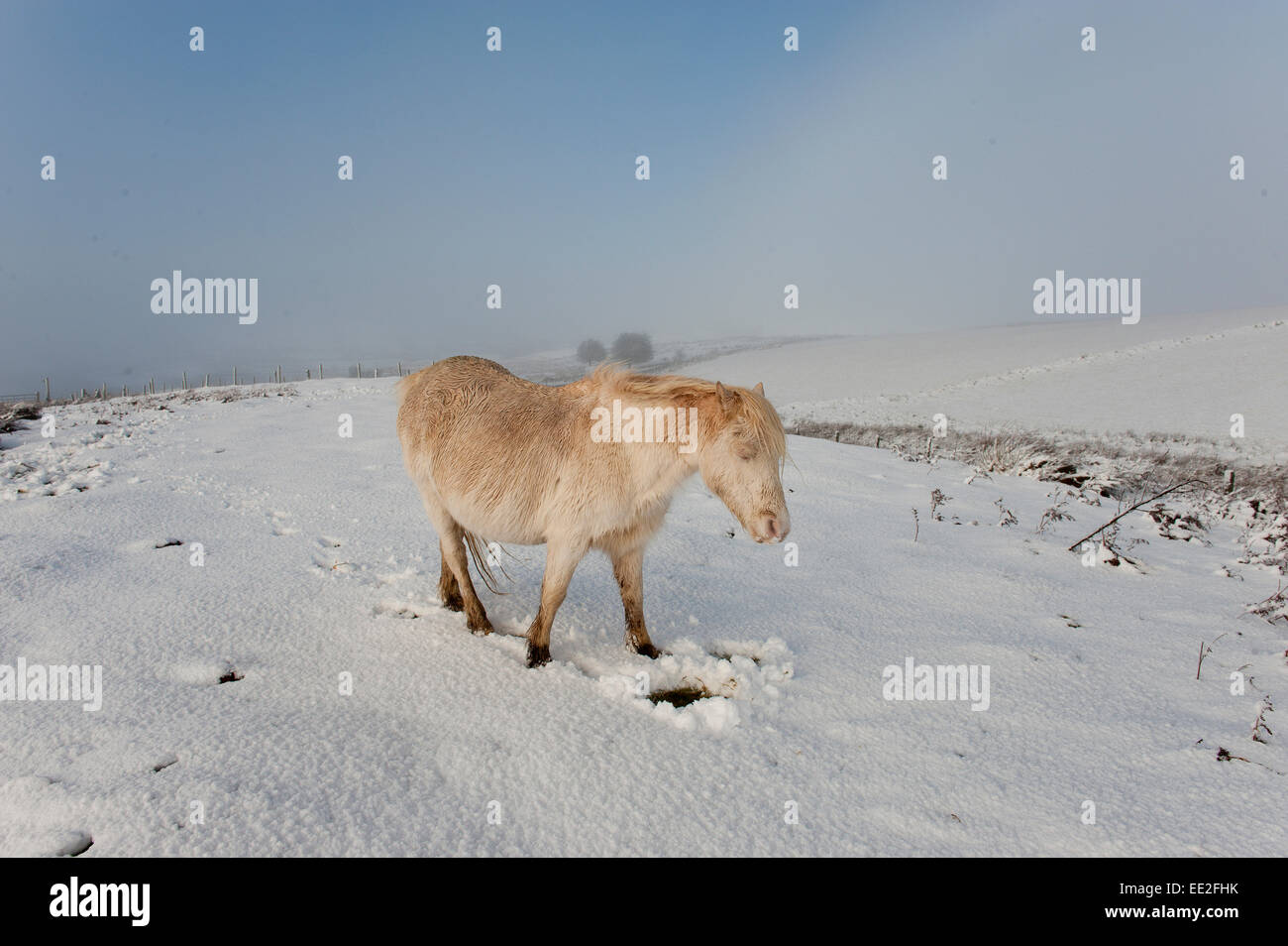 Mynydd Epynt Range of hills, Powys, Wales, UK. 13th January, 2015. A ...