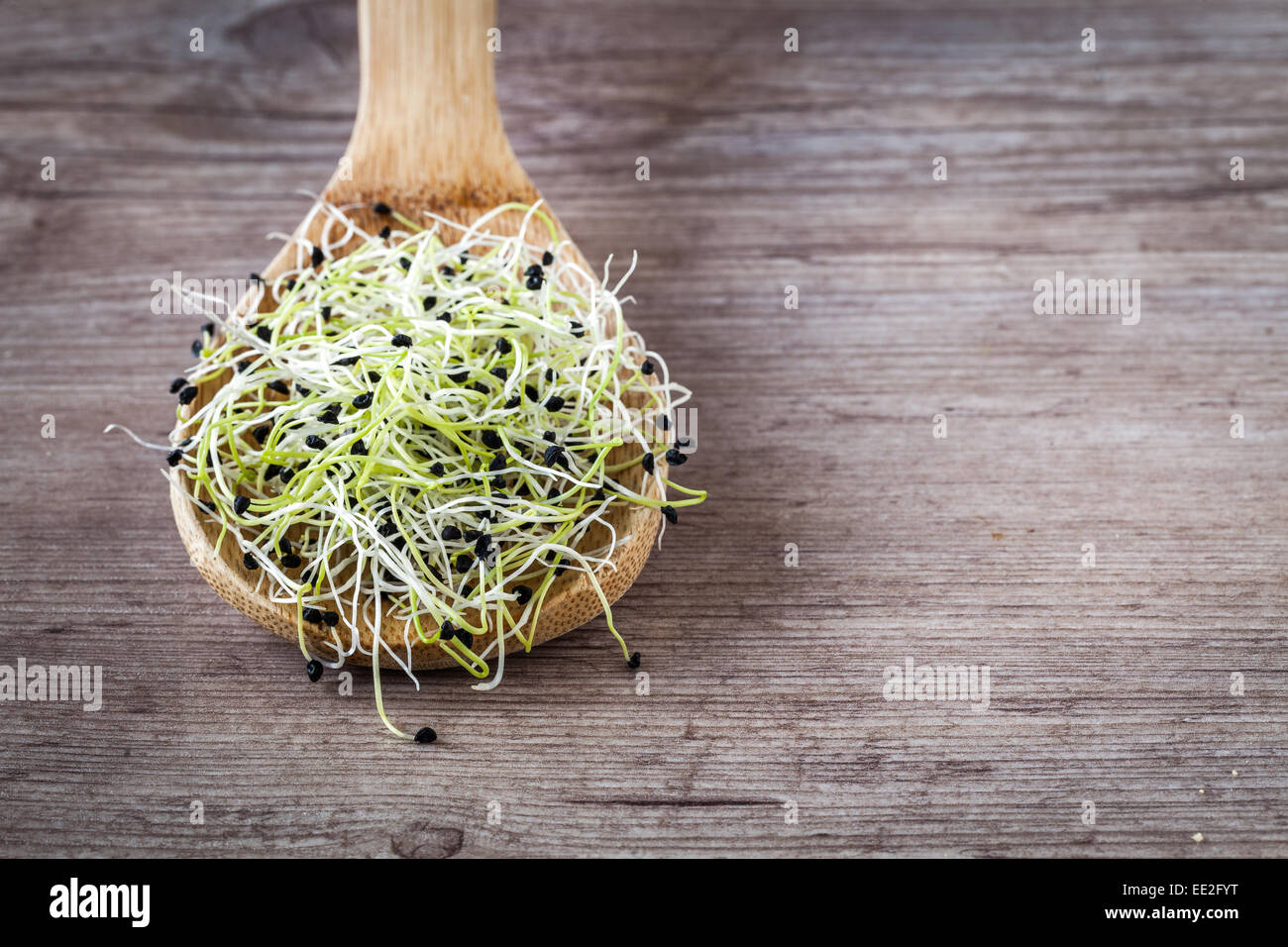Onion sprouts germ hi-res stock photography and images - Alamy