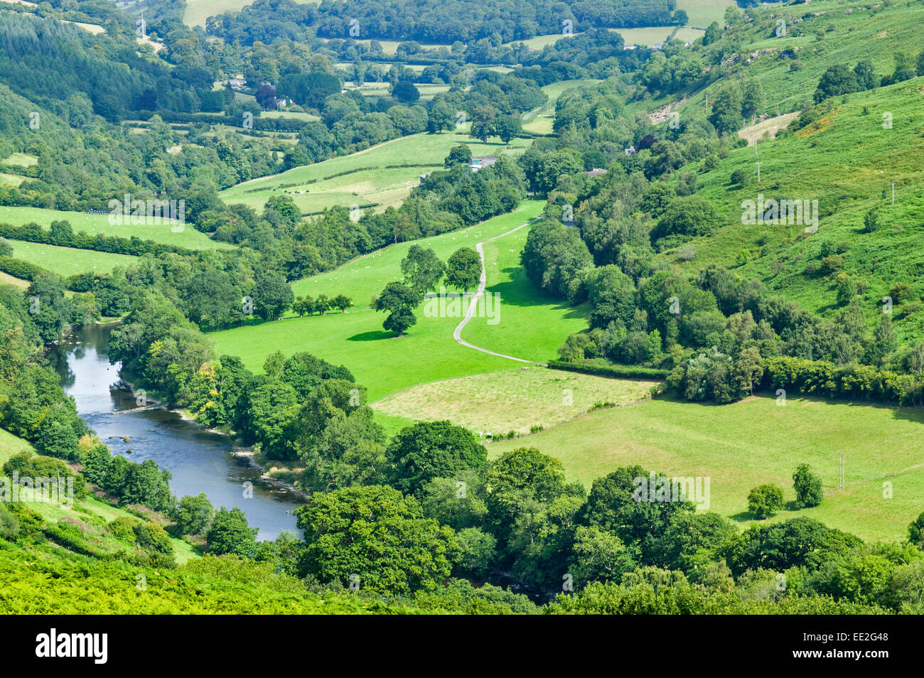 RIVER WYE AND VALLEY IN AUGUST NEAR BUILTH WELLS POWYS WALES Stock ...