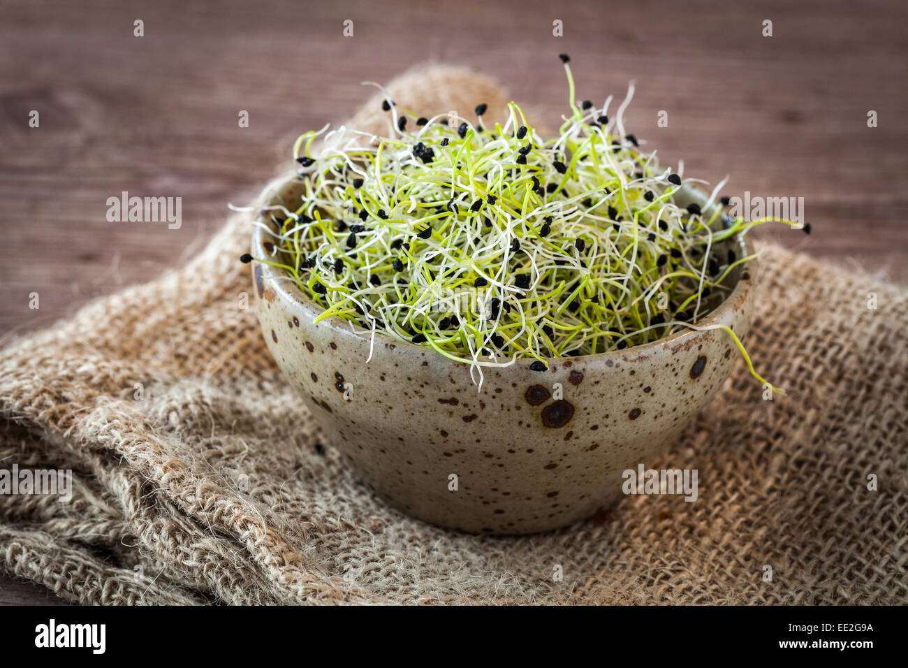 Bunch of fresh onion germ sprouts on a wooden background Stock Photo ...