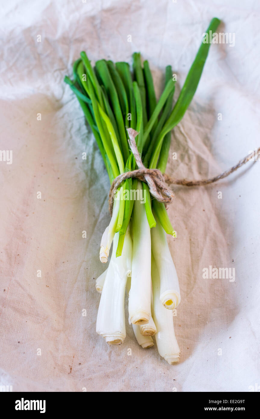 Fabric beam hi-res stock photography and images - Alamy