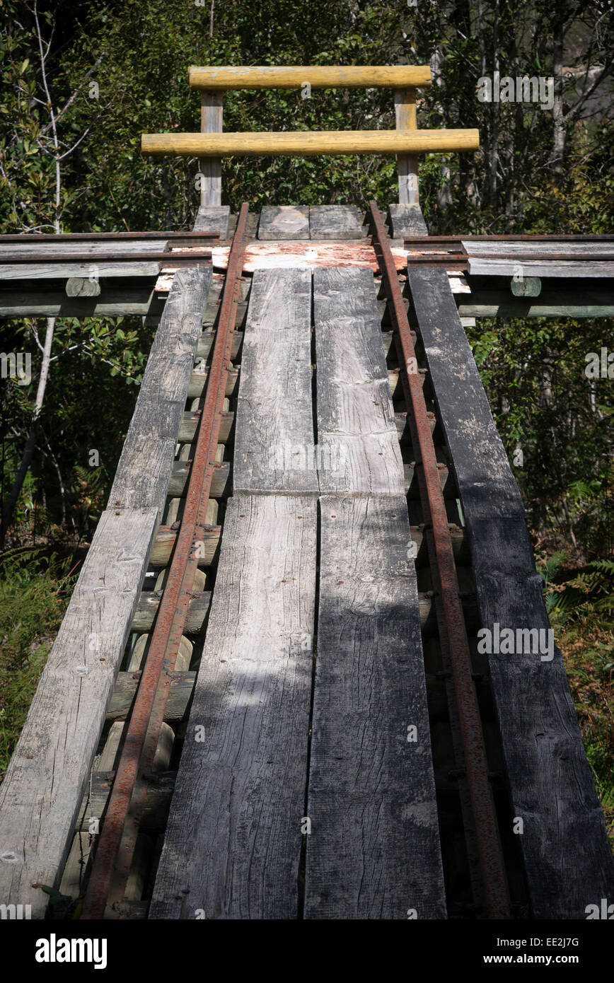 Track for ore carts at Bendigo gold mine in the Knysna Forest, part of ...